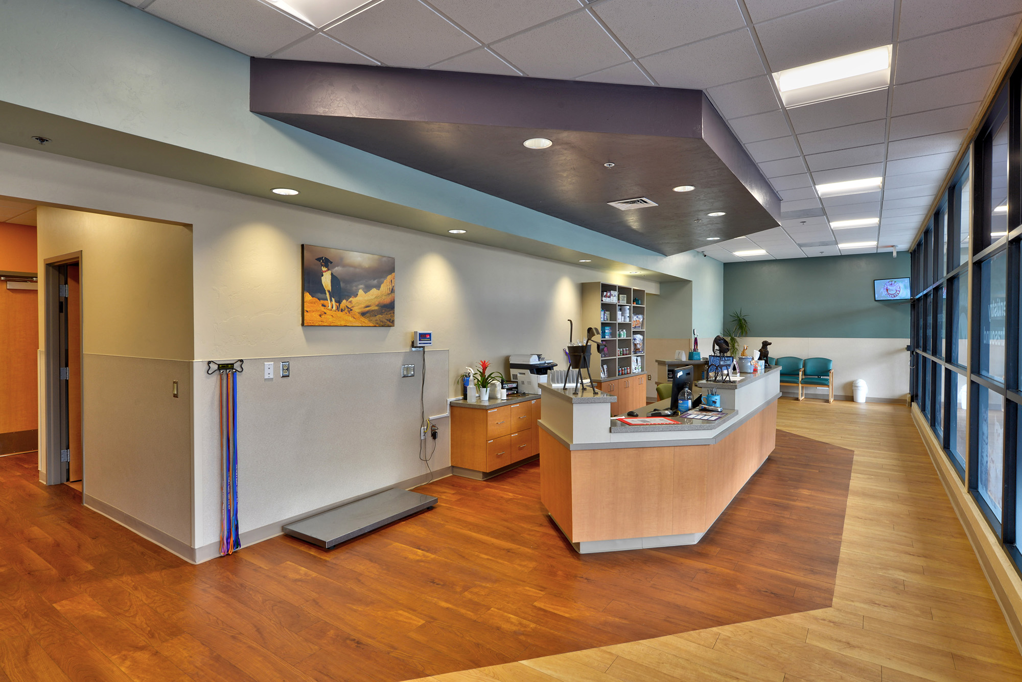 Health & Wellness – MW Morrissey